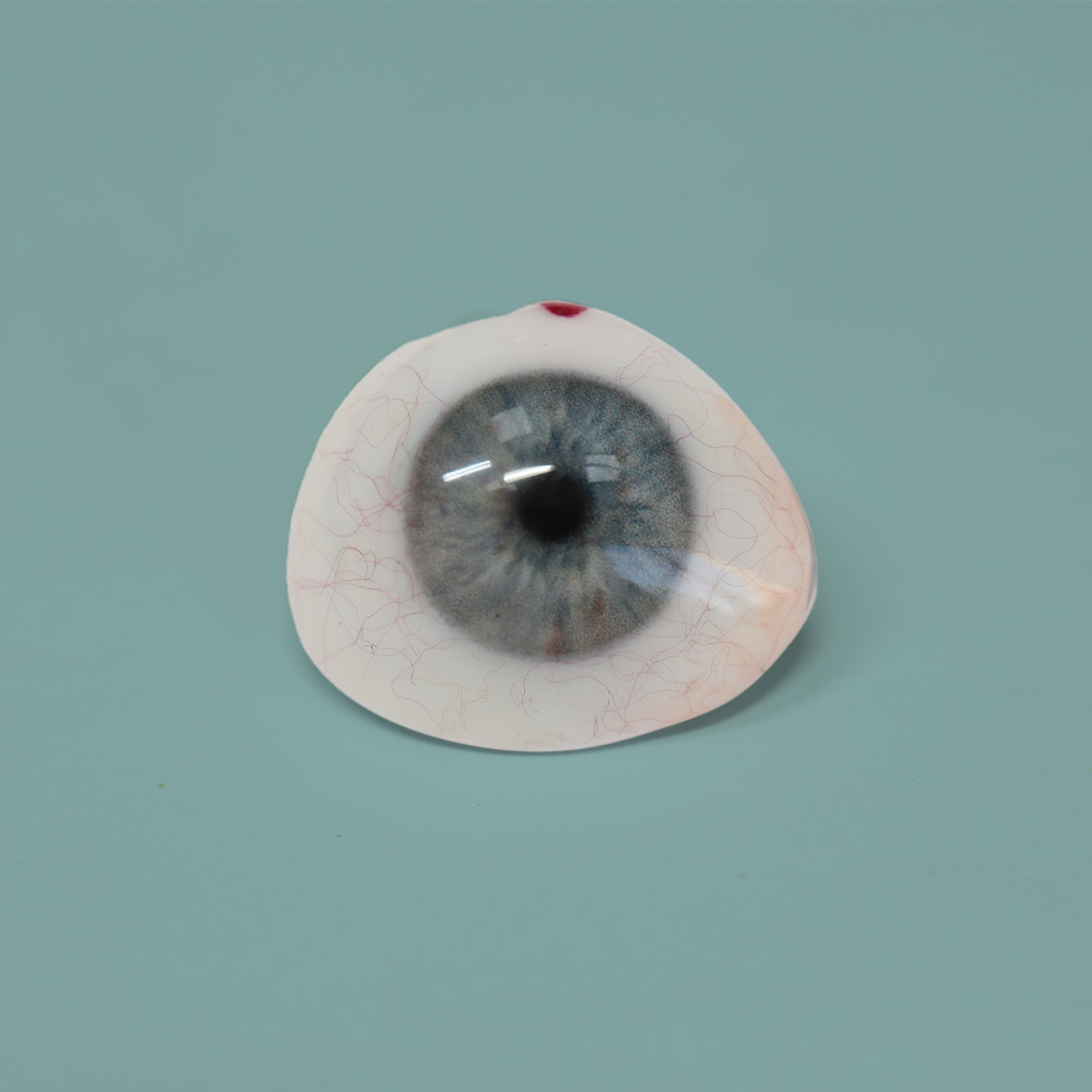 Dr. Preeti's Bright Eye Care | Best Eye Hospital in Pathankot - #1 Eye ...